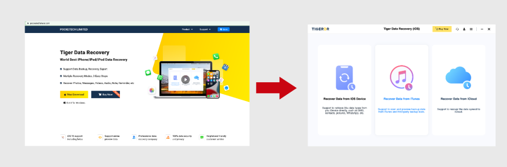 Tiger Data Recovery Tutorial: File Restoration and Data Rescue